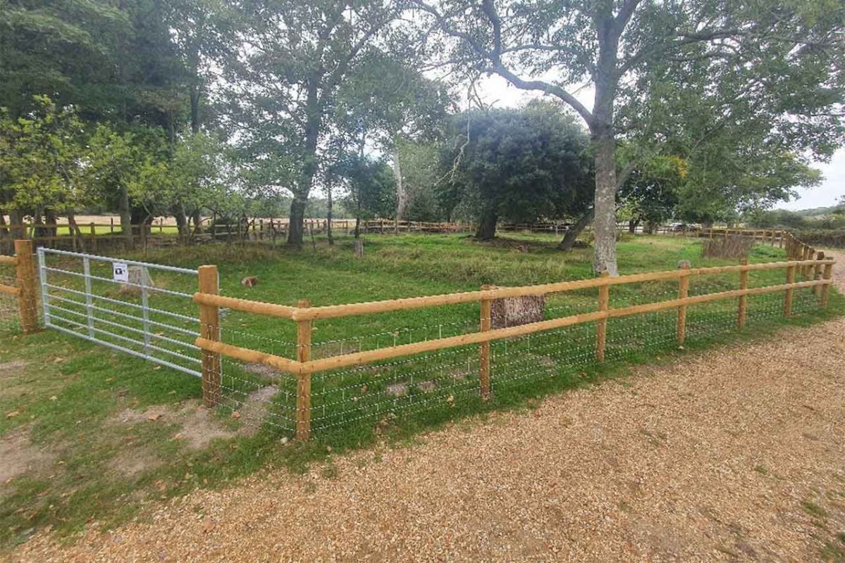 Gates and Fencing Installers Dorset